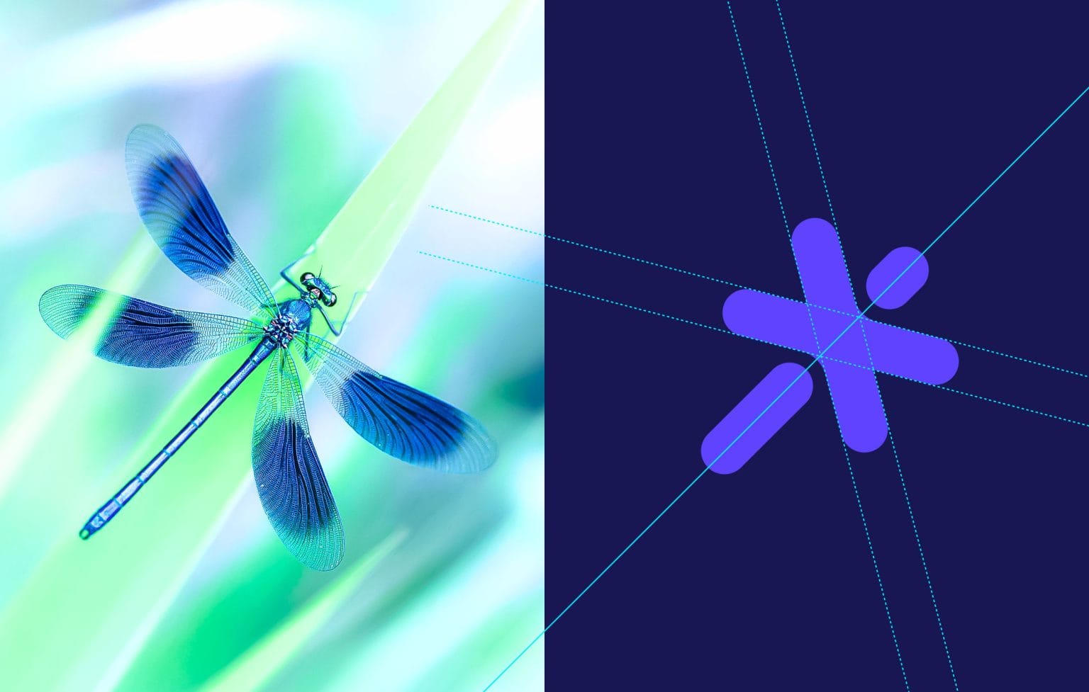 Stratégie de rebranding et outils de communication - Xelops | By ZONIDRA